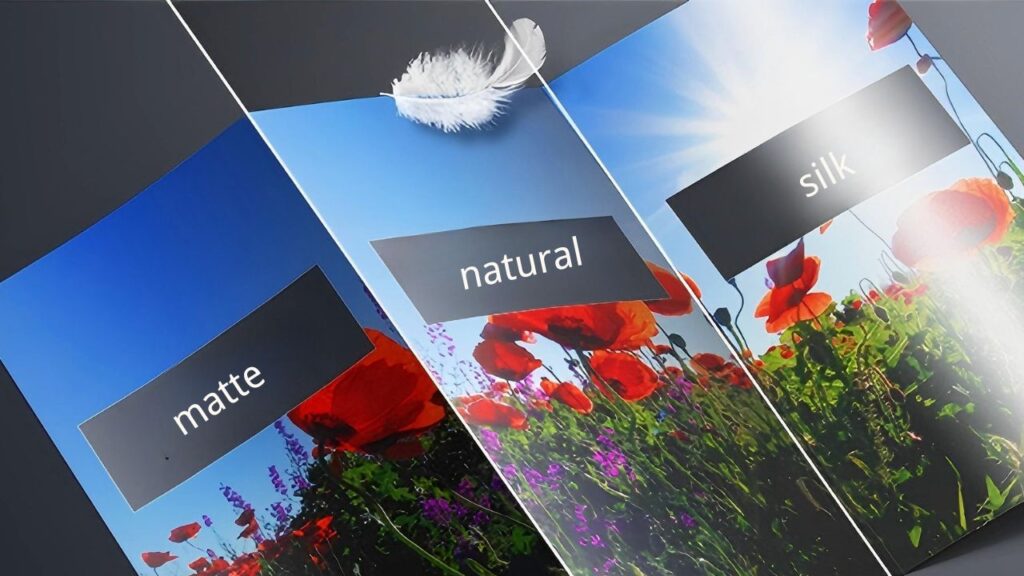 Coated Paper vs Uncoated Paper: A Comprehensive Guide