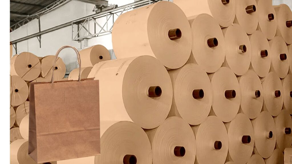 Kraft Paper vs Testliner: A Strategic Guide to Cost & Performance