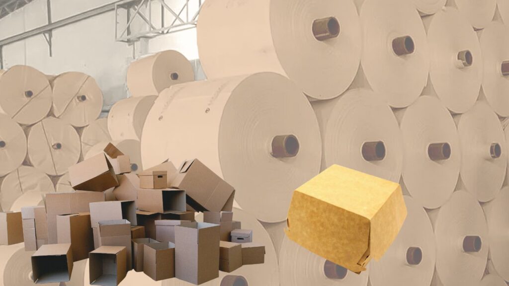 Kraft Paper vs Testliner: A Strategic Guide to Cost & Performance