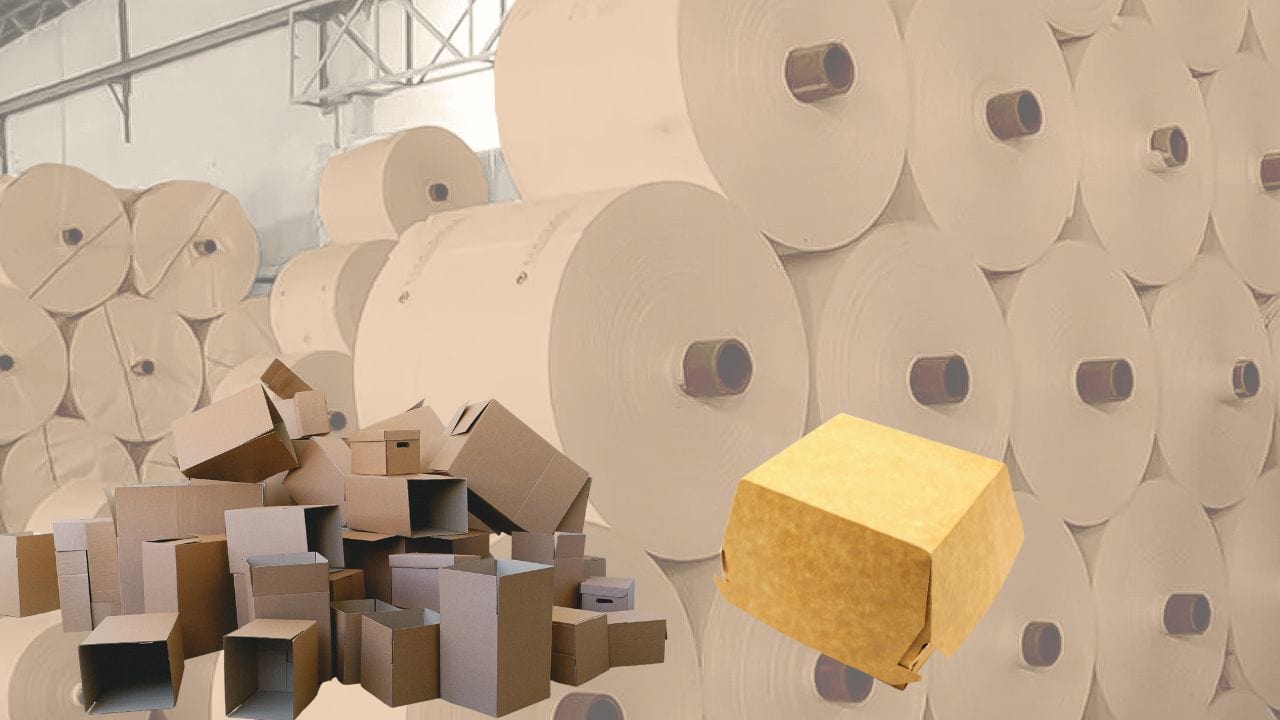 Kraft Paper vs Testliner: A Strategic Guide to Cost & Performance